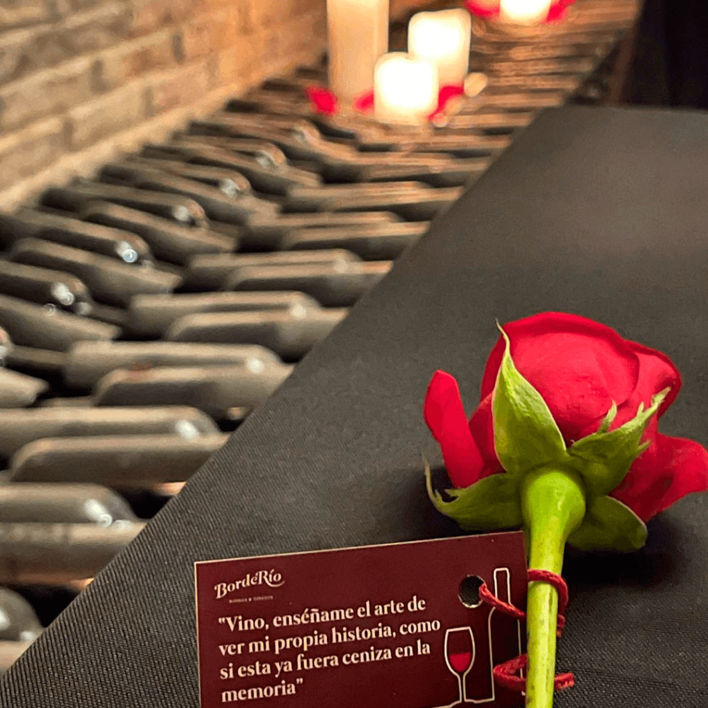 Reserva visita guiada & degustación premium - BordeRío Bodega & Viñedos