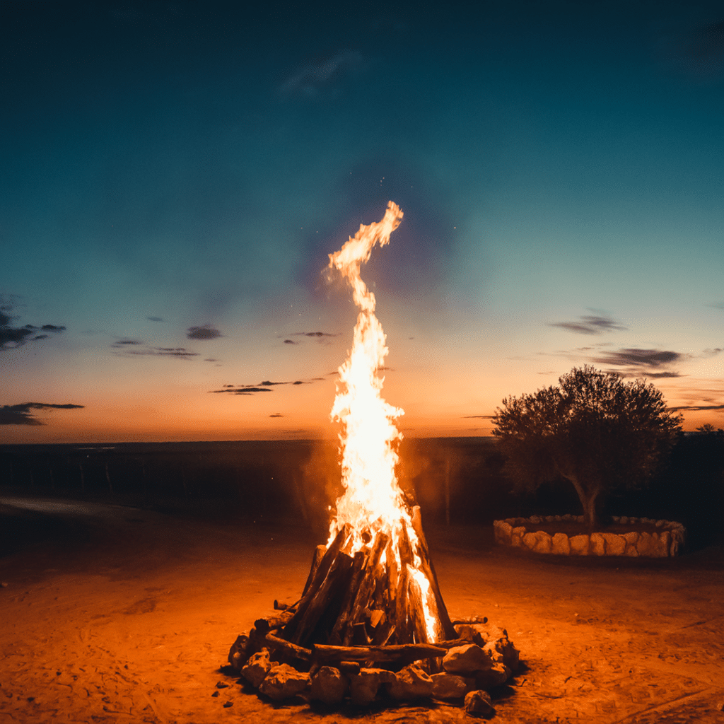 Reserva visita guiada & degustación premium - BordeRío Bodega & Viñedos